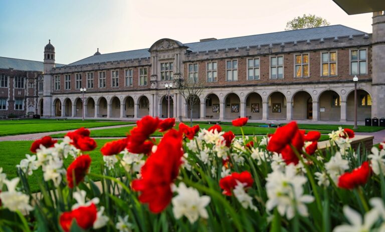Contact Us - University Services